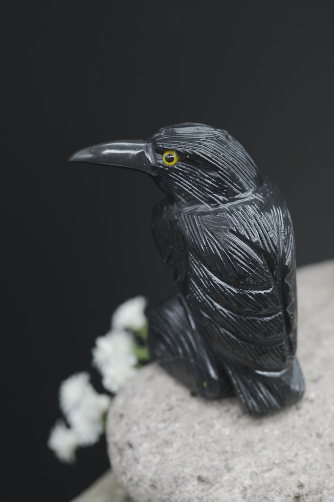 Hand Carved Natural Black ONYX Raven Crow Spirit Animal Totem – You Are ...